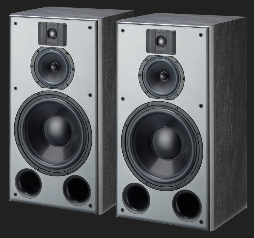 Boxe Indiana Line DJ 310 BLACK ASH la AVstore.ro