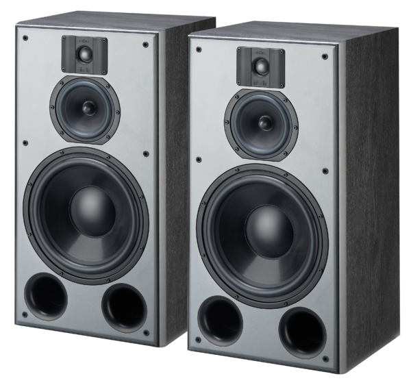 Boxe Indiana Line DJ 310 BLACK ASH la AVstore.ro