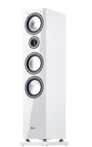 Boxe Canton Chrono 519 DC la AVstore.ro