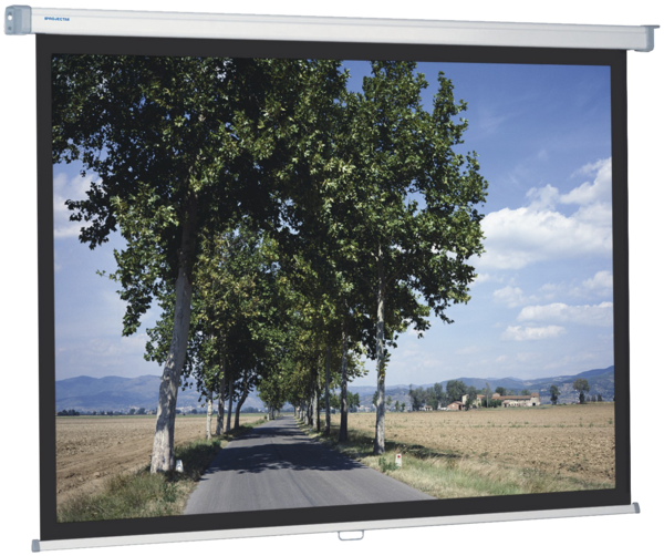 Ecrane de proiectie la AVstore.ro