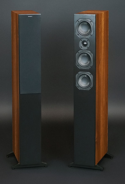 Boxe Scansonic L-9 la AVstore.ro