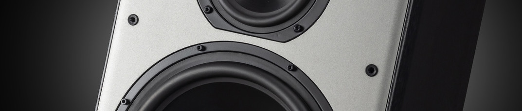 Boxe Indiana Line DJ 310 BLACK ASH la AVstore.ro