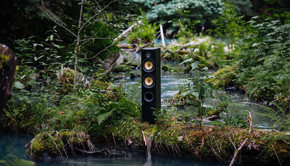 Boxe PSB Speakers Imagine X1T la AVstore.ro